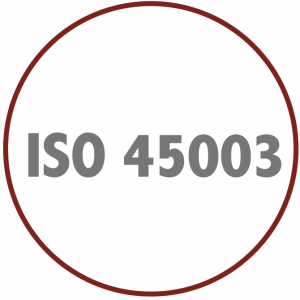 La norma ISO 45003:2021 | Frareg