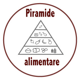 Piramide alimentare | Frareg